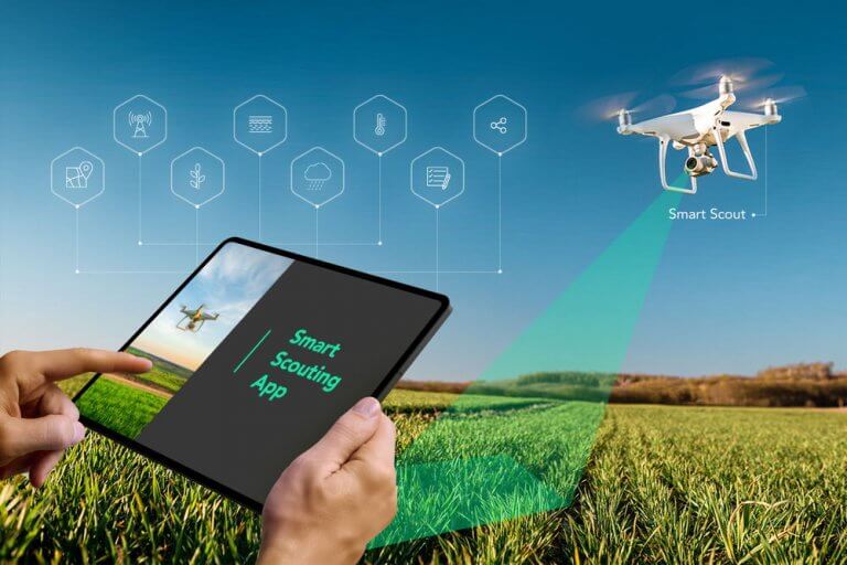 IoT in Agriculture: Asset Tracking, Smart Scouting and Smart Warehouses